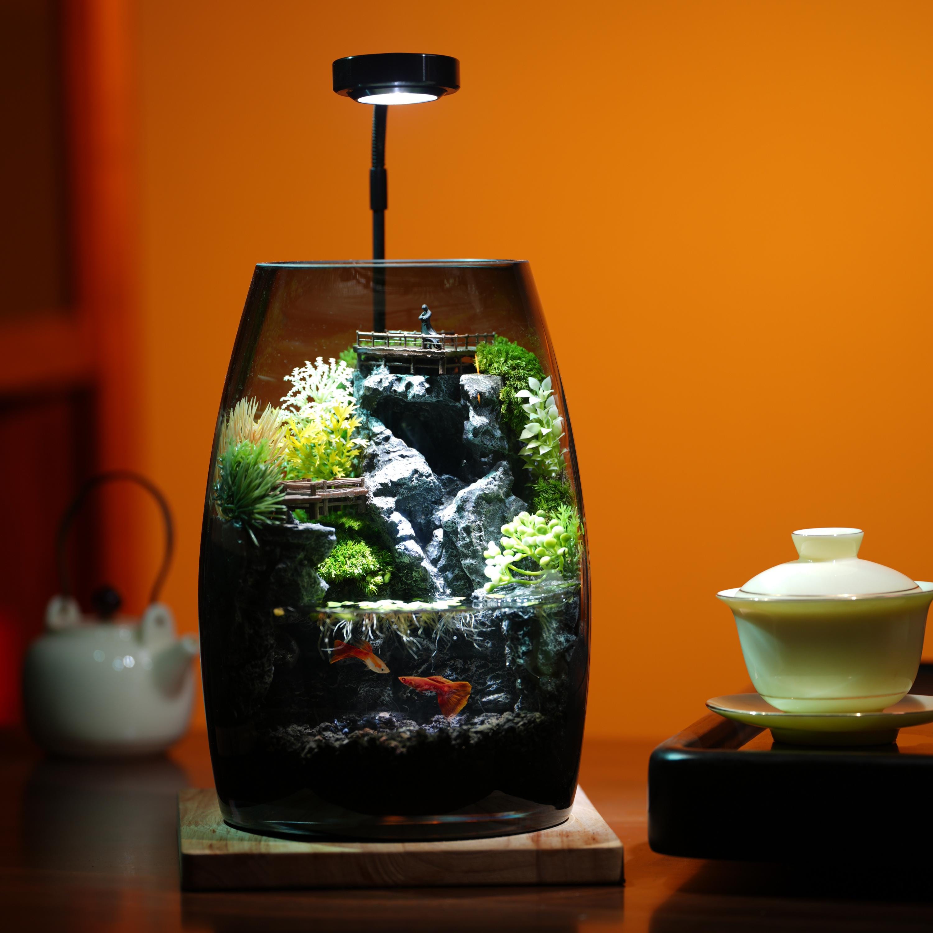 Mini Zen Micro Landscape Desktop Ecological Jar - Etsy