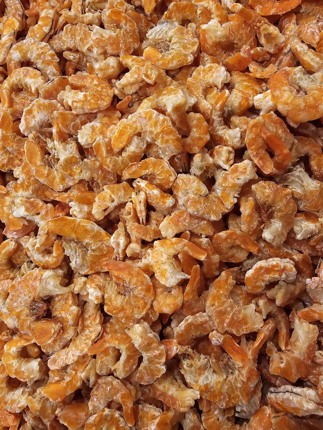 Premium USA Dried Shrimp (large) - Etsy