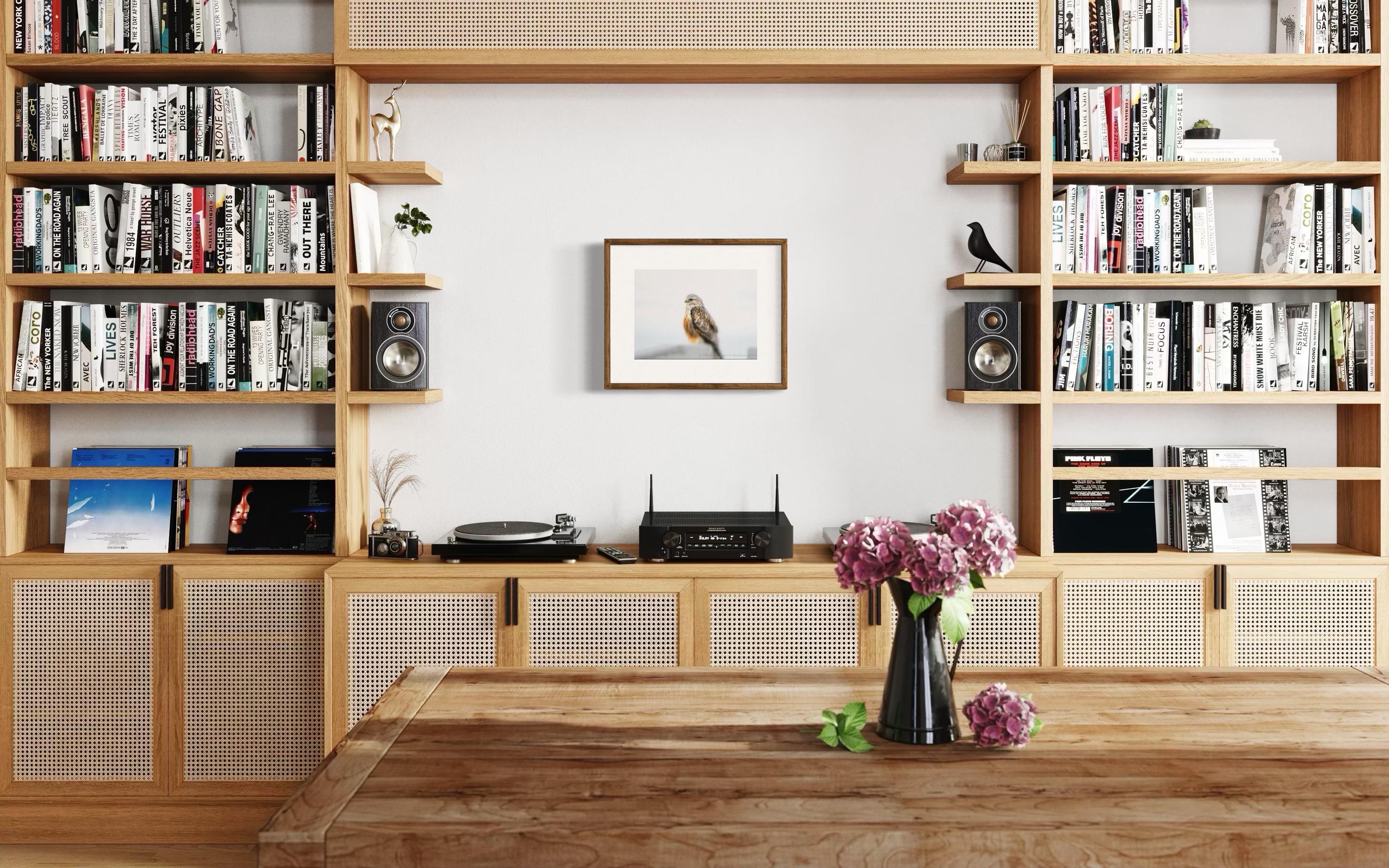 Winter Hawk Nature Fine Art Photo - Etsy