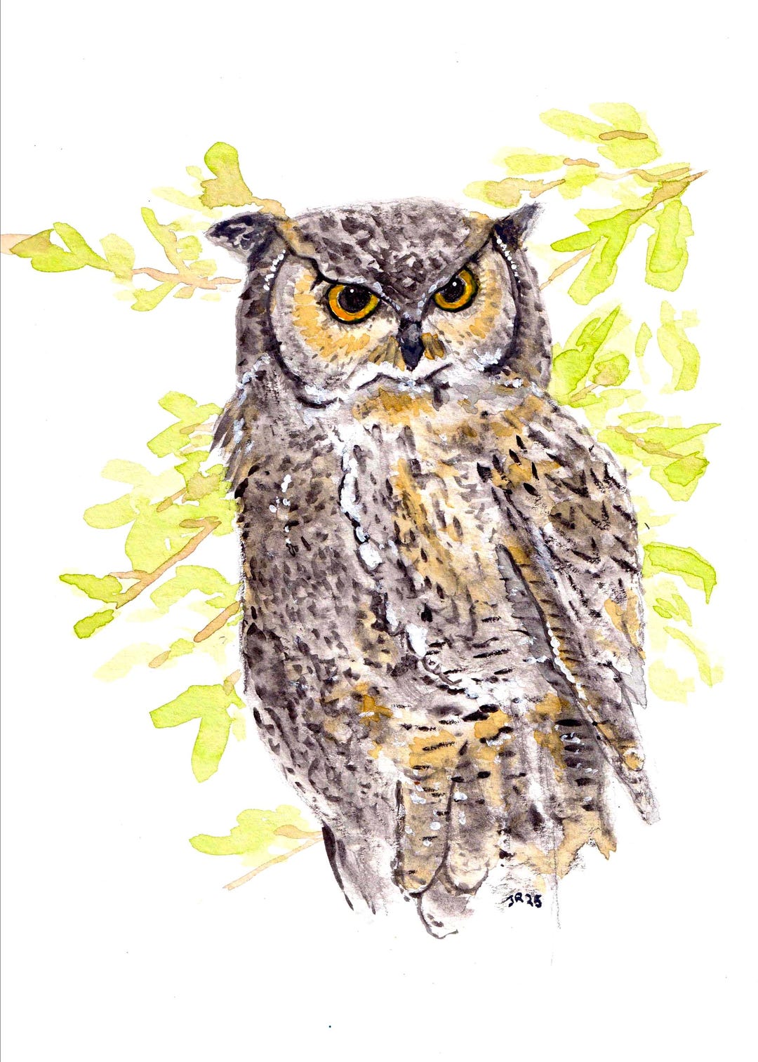 Great Horned Owl Art, Watercolor Print, Great Hormed Owl Watercolor ...