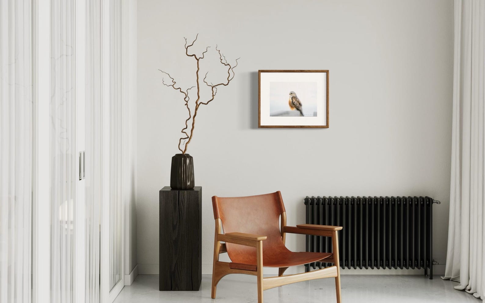 Winter Hawk Nature Fine Art Photo - Etsy