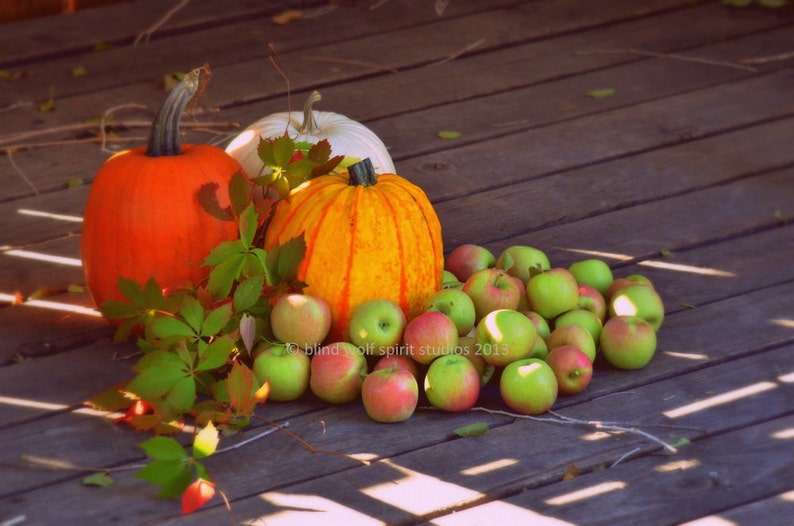 Pumpkins and Apples, Autumn Still Life, Thanksgiving, Harvest Fall ...