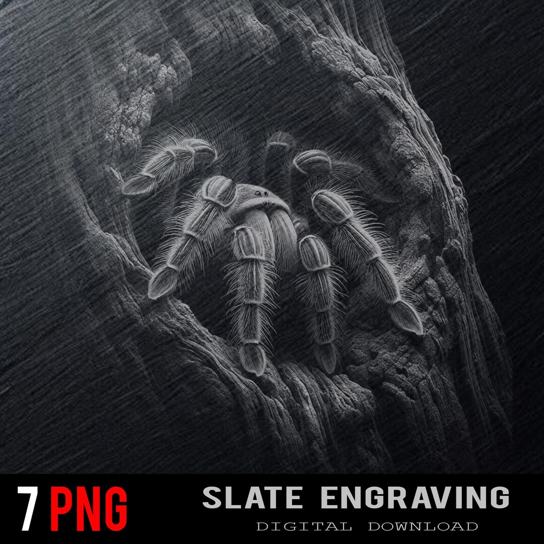 Tarantula Spider Engraving PNG for Slate | Realistic Carved Style Black ...