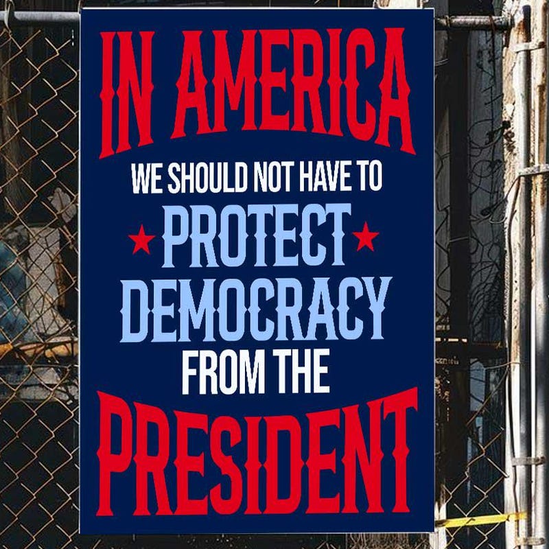 Democracy Protest Sign - Etsy