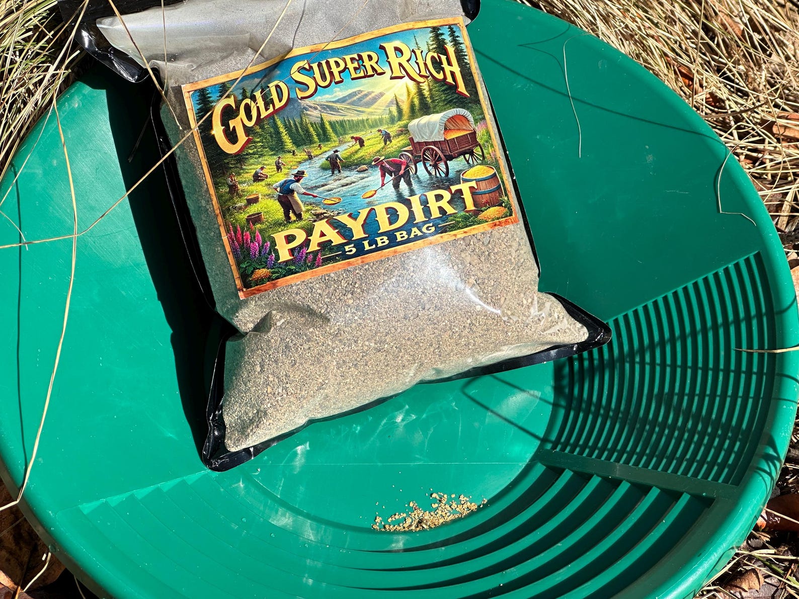 Strike Gold! Guaranteed Gold Paydirt With Nuggets & Flakes / Gold ...