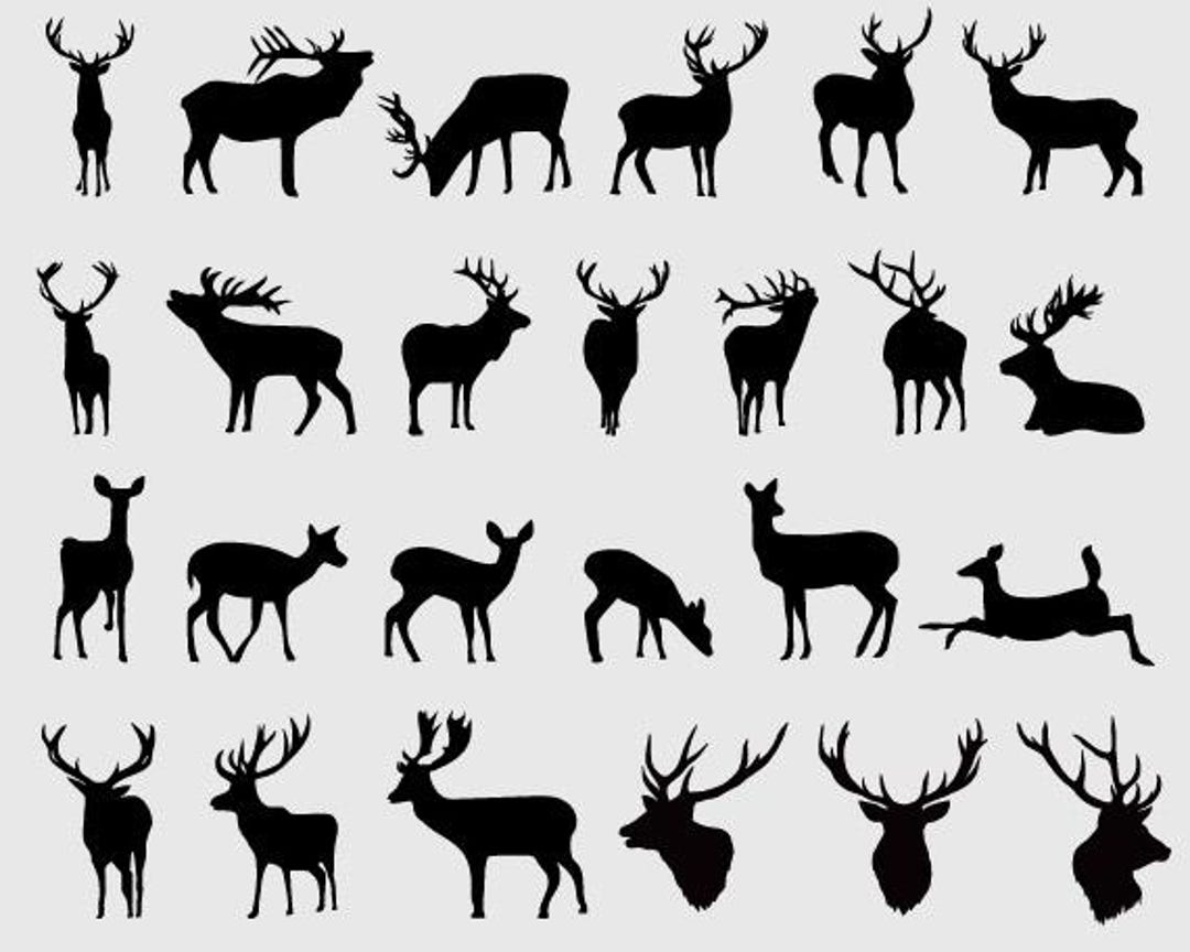 Deer SVG Bundle, Wildlife Cut Files (digital Download) - Etsy