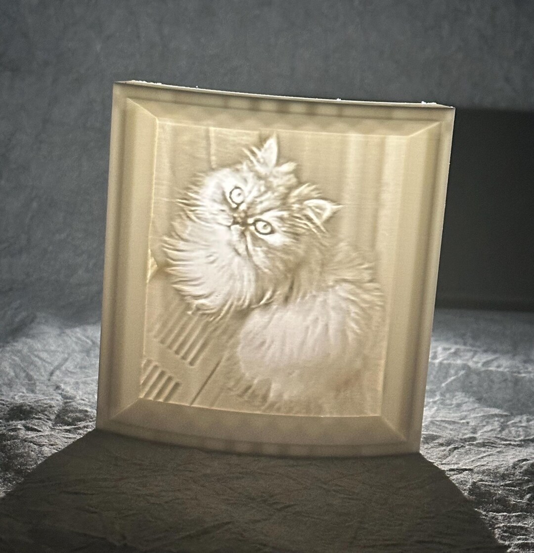 3D Printed Lithophanes - Curved or Flat - Etsy