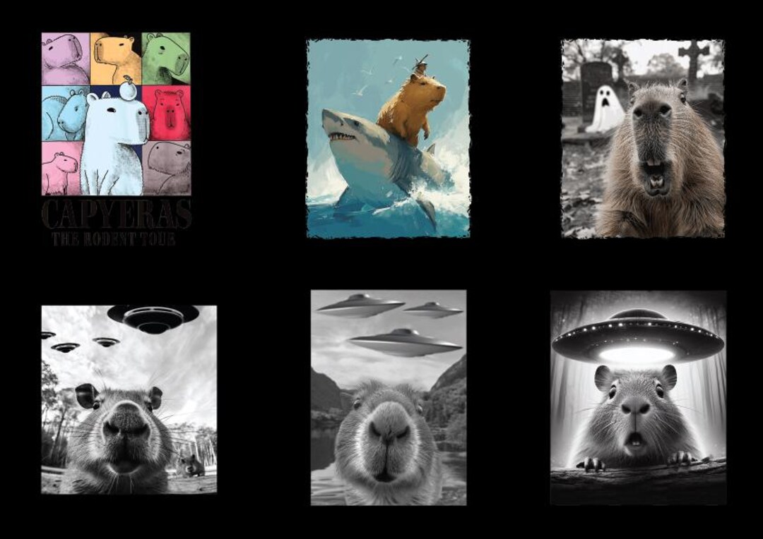 File PNG Funny Capybara Moment Enjoy the Hilarious Antics of the World ...