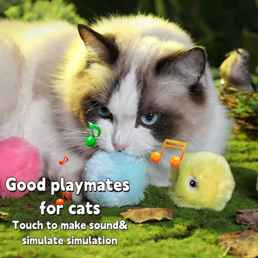 Catnip Chirping Plush Balls - Interactive Fluffy Cat Toy (3-pack) - Etsy