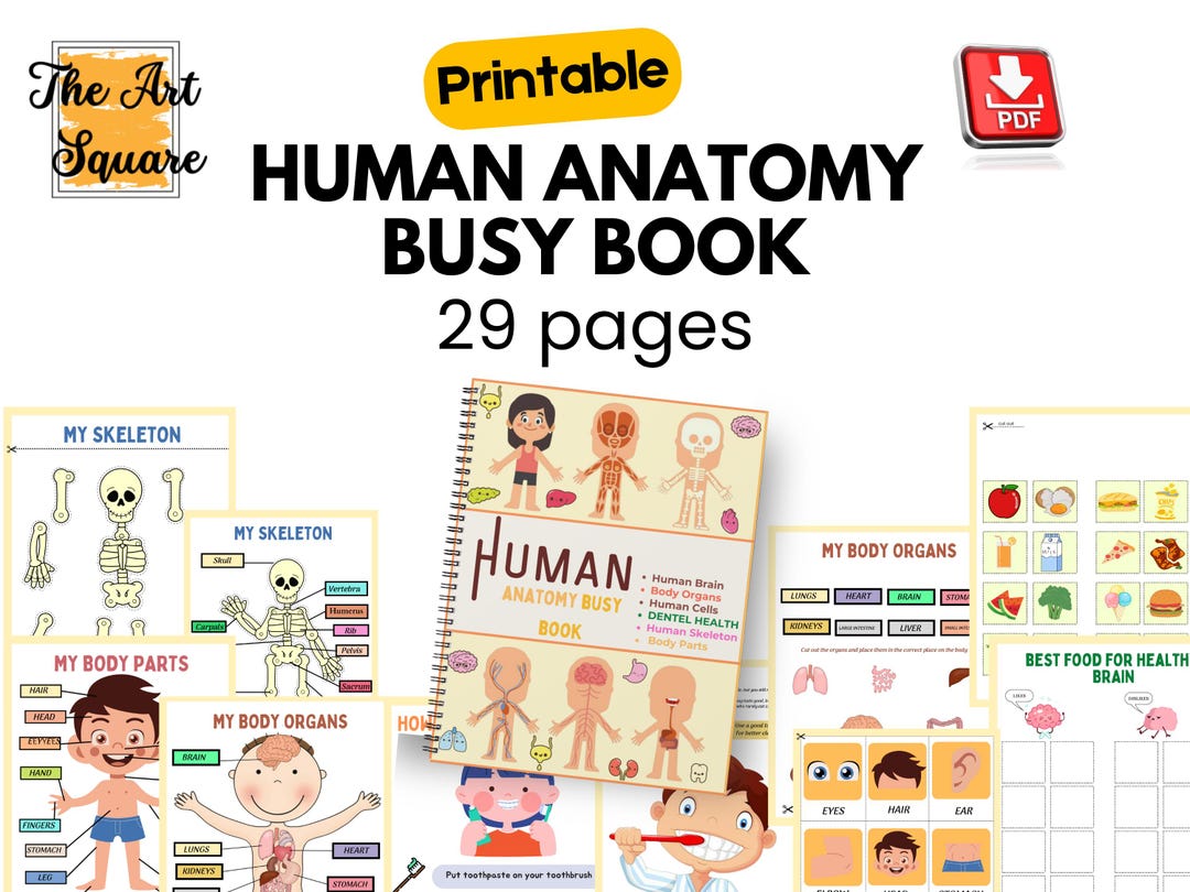 Human Anatomy Busy Book for Kids | Printable Learning Binder | Body ...