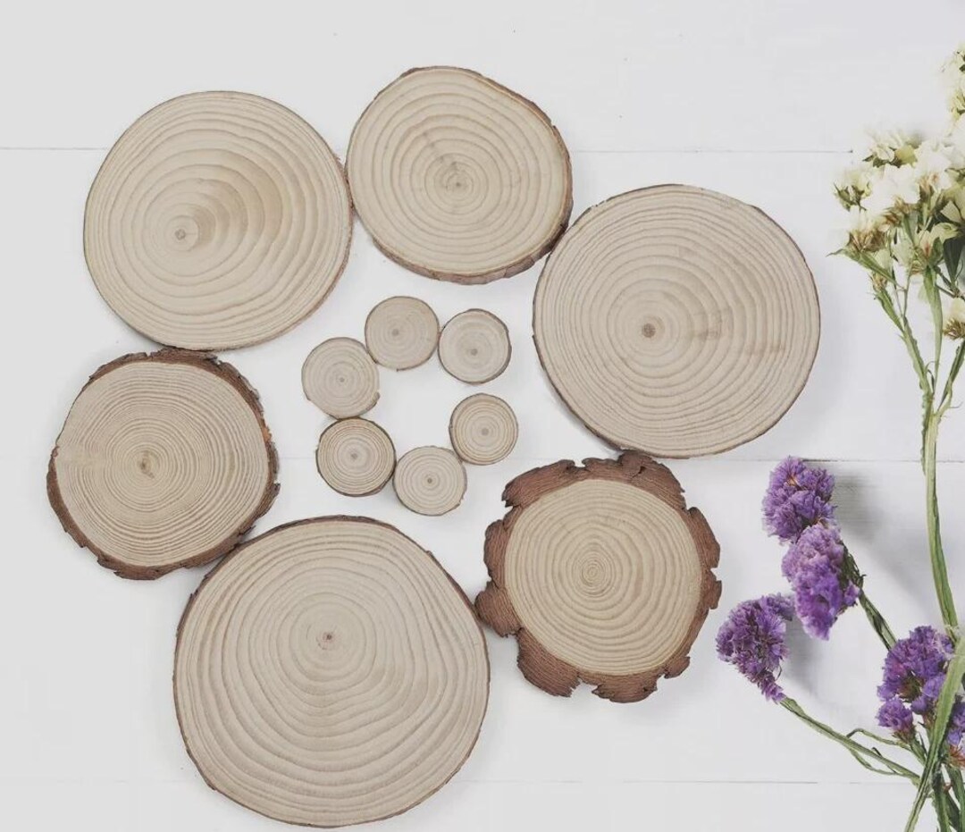Log Slices Natural Wood Christmas Decorations Wooden Crafts Various ...