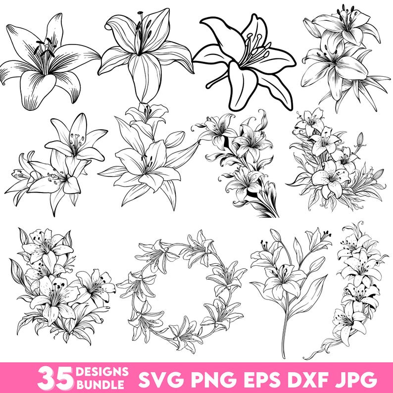Lily Flowers SVG Bundle, Lily Flowers PNG, Botanical SVG, Lilies ...