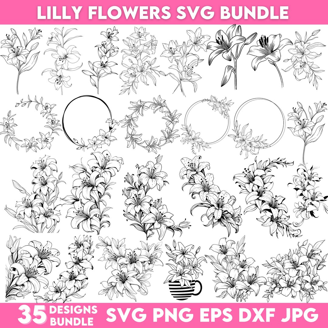 Lily Flowers SVG Bundle, Lily Flowers PNG, Botanical SVG, Lilies ...