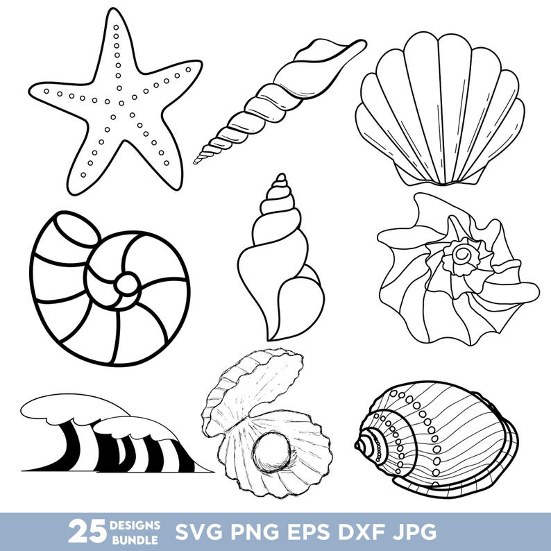 Seashell SVG Bundle: Beach Clipart, Starfish Silhouette (digital ...