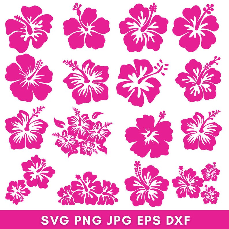 Hibiscus Flower SVG Bundle: Tropical Hawaiian Cut Files - Etsy