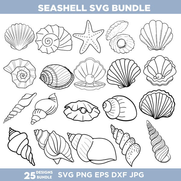Seashell Svg - Etsy