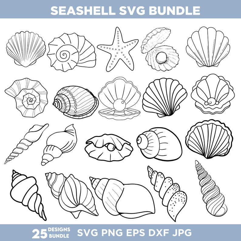 Seashell SVG Bundle: Beach Clipart, Starfish Silhouette (digital ...