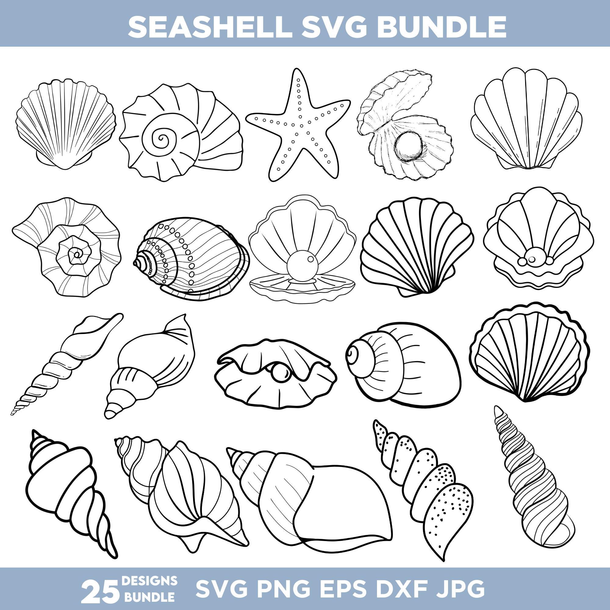Seashell SVG Bundle: Beach Clipart, Starfish Silhouette (digital ...