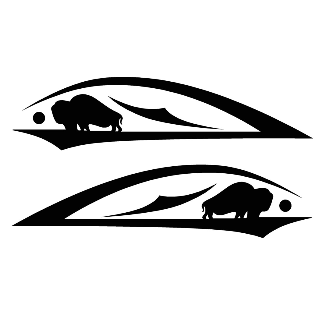Buffalo Flames Vinyl Decals #3 Car, Truck, RV Golf Cart Graphics (pair ...