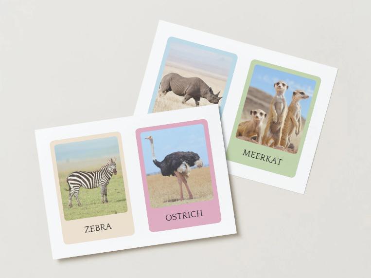 90 Realistic Animal Flashcards - Montessori Printable Animal Cards in ...