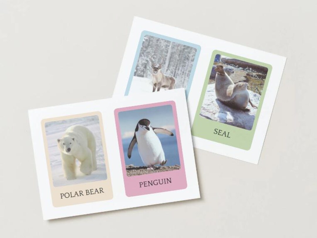 90 Realistic Animal Flashcards - Montessori Printable Animal Cards in ...