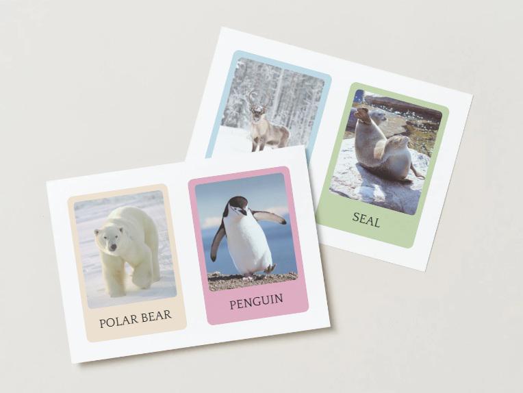 90 Realistic Animal Flashcards - Montessori Printable Animal Cards in ...