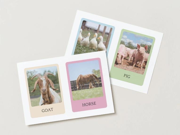 90 Realistic Animal Flashcards - Montessori Printable Animal Cards in ...