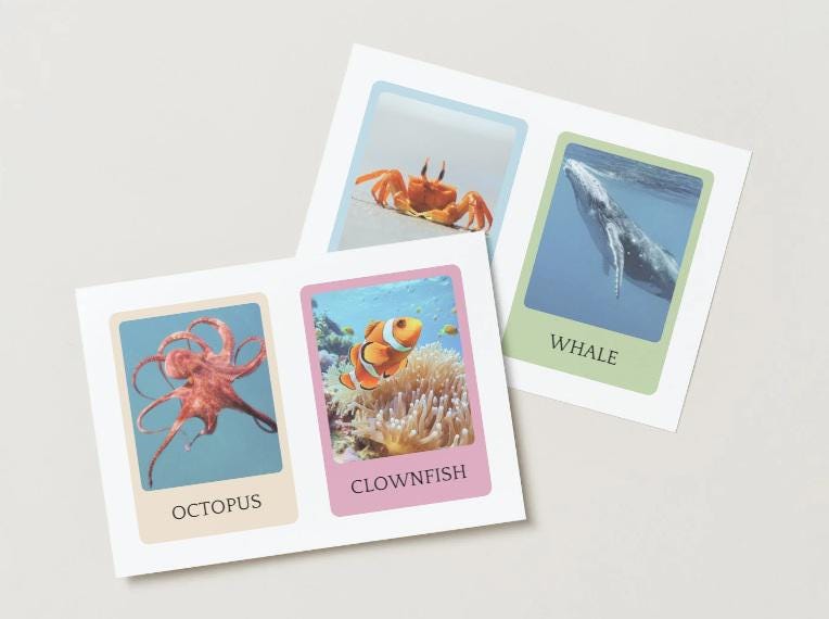 90 Realistic Animal Flashcards - Montessori Printable Animal Cards in ...