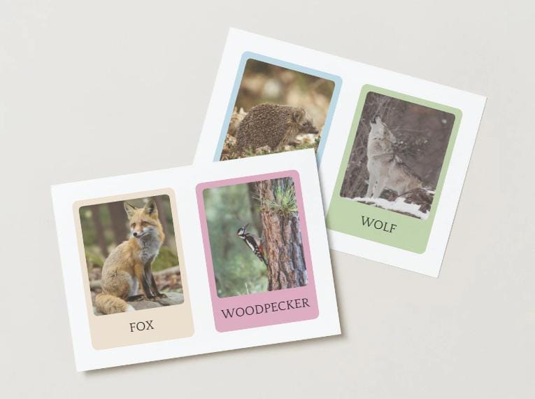 90 Realistic Animal Flashcards - Montessori Printable Animal Cards in ...