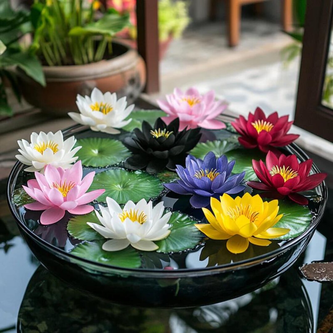 Buy Mix Lotus Flower Seeds: Pink, White, Yellow & Red (140 Pack) Online ...