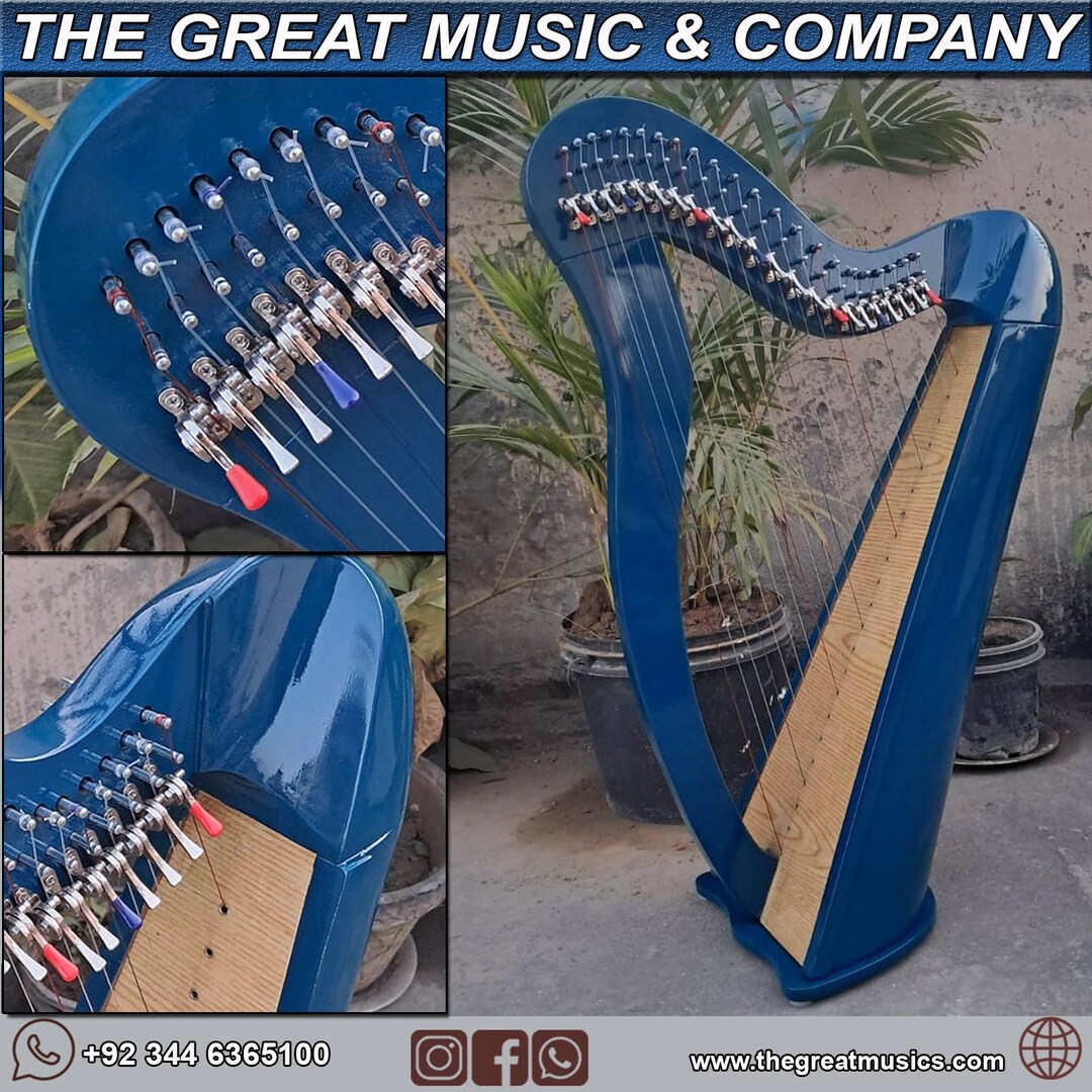 Professional Musicians and Beginners 22 String Lever Harp Beautiful ...