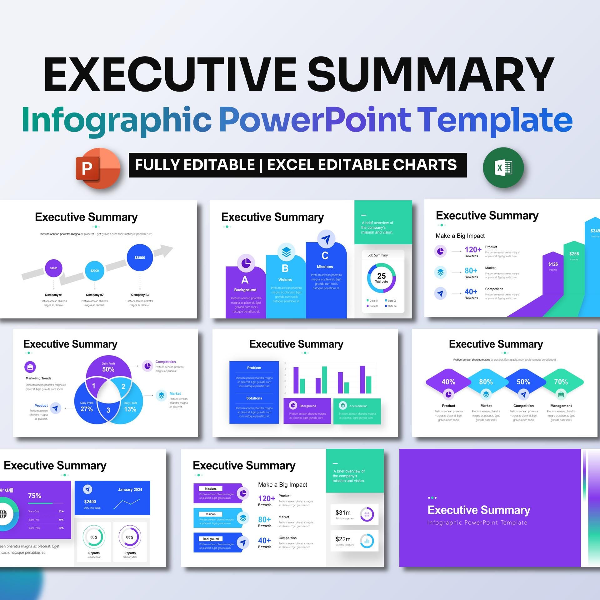 Executive Summary Infographic Powerpoint | Business Overview & Key ...