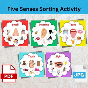 Five Senses Sorting Activity Printable, 5 Senses Sorting, Homeschool ...