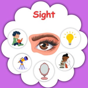 Five Senses Sorting Activity Printable, 5 Senses Sorting, Homeschool ...