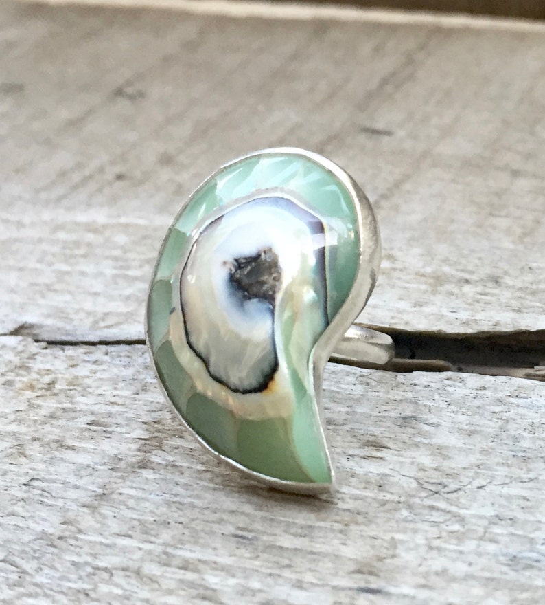 Light Green Sea Nautilus Shell Mother of Pearl and Resin Mermaid ...