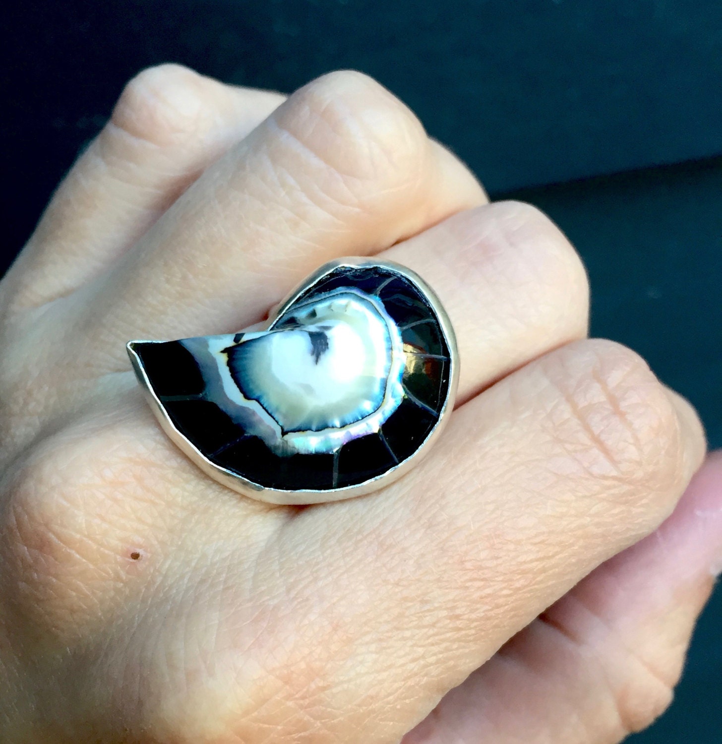 Black Sea Nautilus Shell With Mother of Pearl and Resin - Etsy