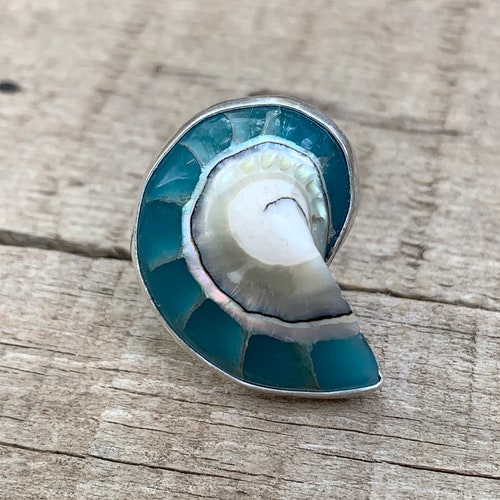 Black Sea Nautilus Shell With Mother of Pearl and Resin - Etsy