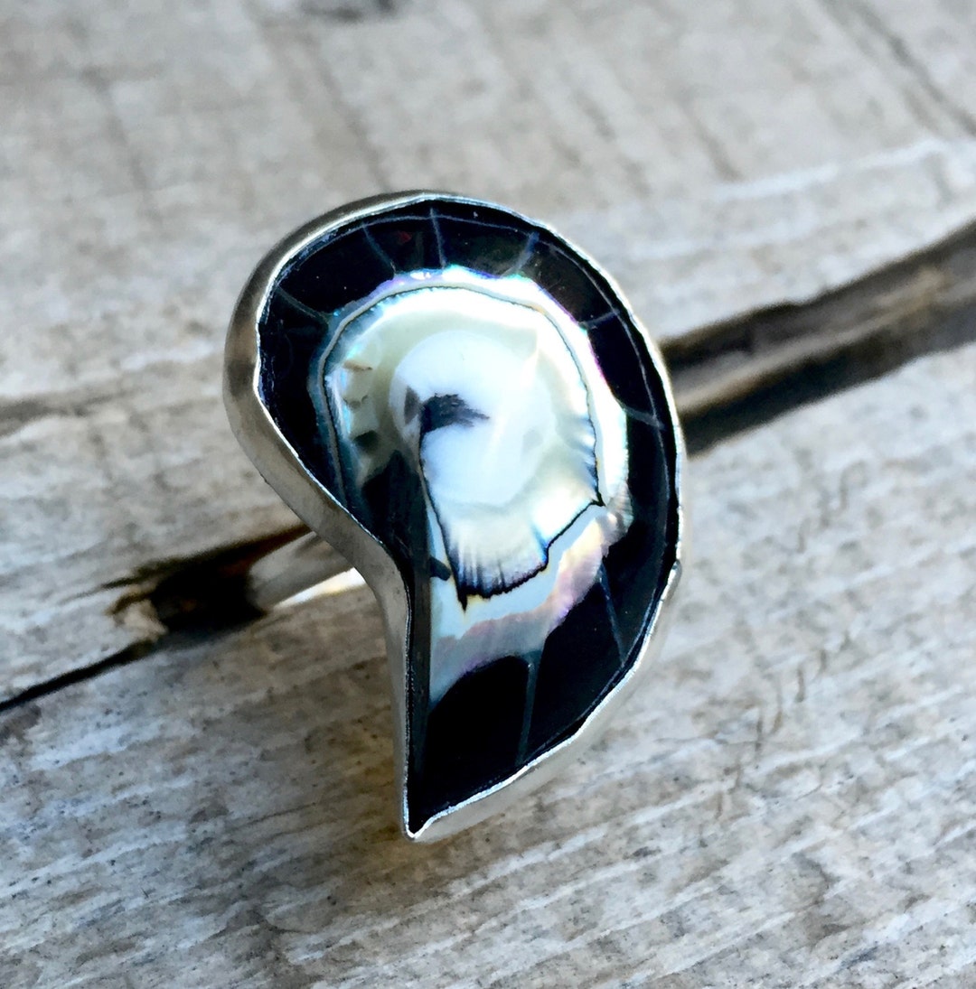 Black Sea Nautilus Shell With Mother of Pearl and Resin Sterling Silver ...