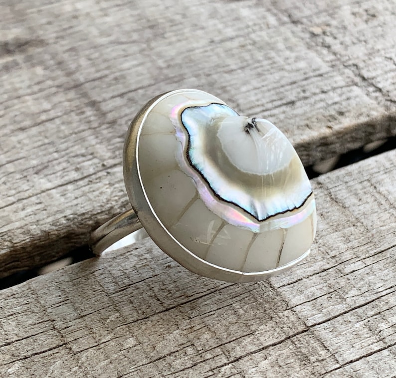 White Sea Nautilus Shell With Mother of Pearl and Resin Sterling Silver ...