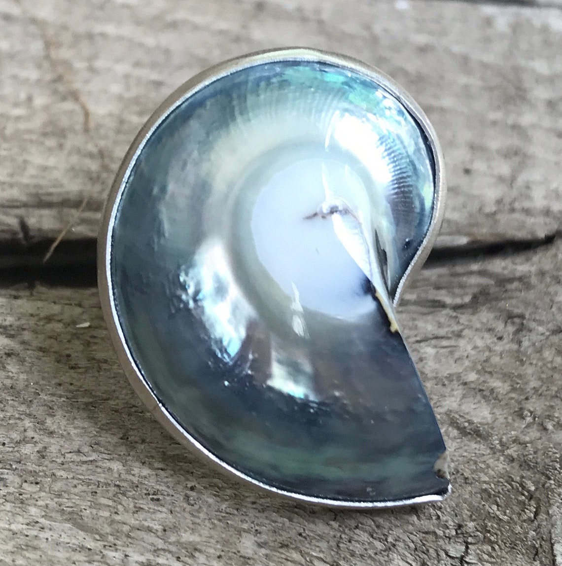 Light Blue Pearl Sea Nautilus Shell With Mother of Pearl - Etsy
