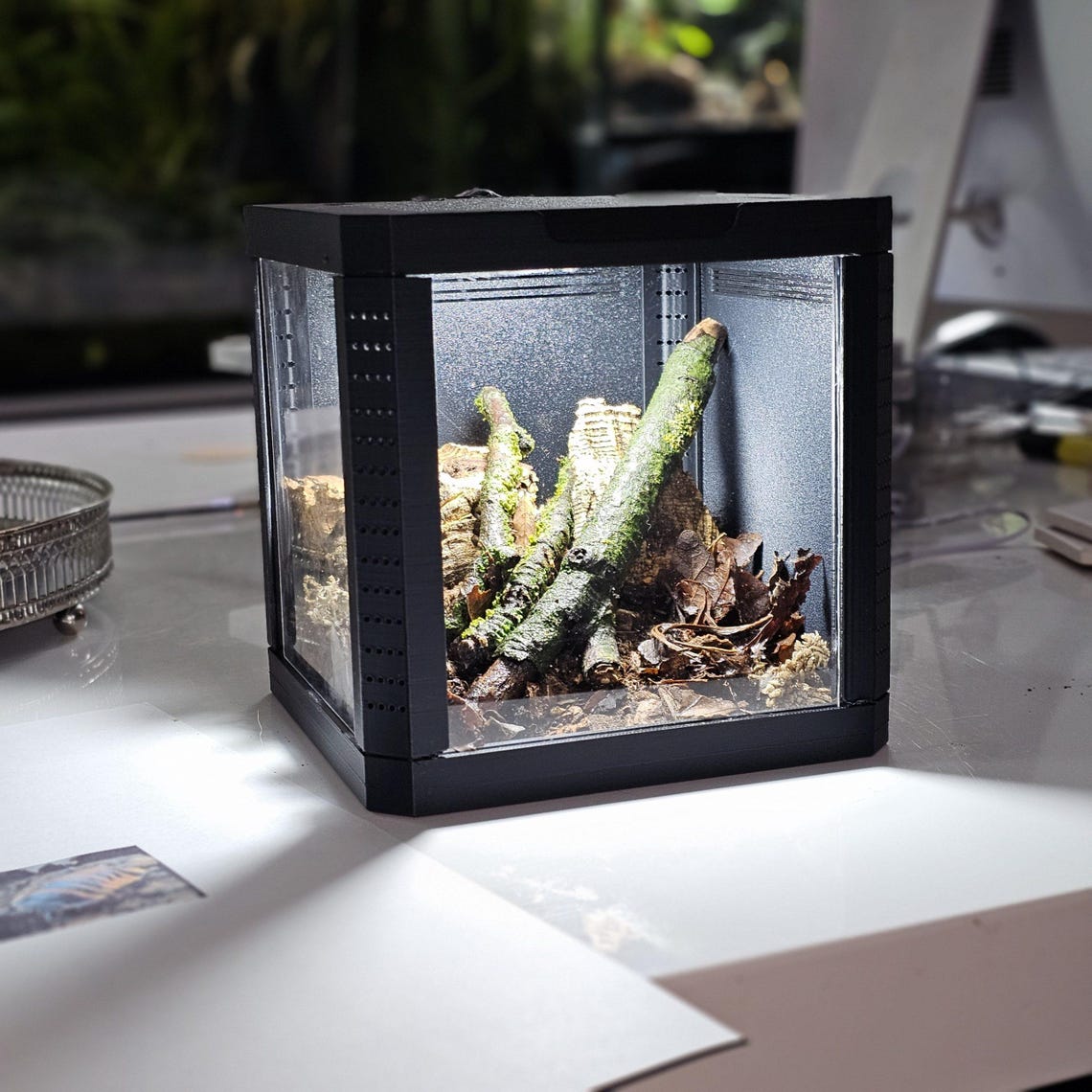 3d-printed Isopod Display Vivarium – Flat-pack With Ventilation and ...