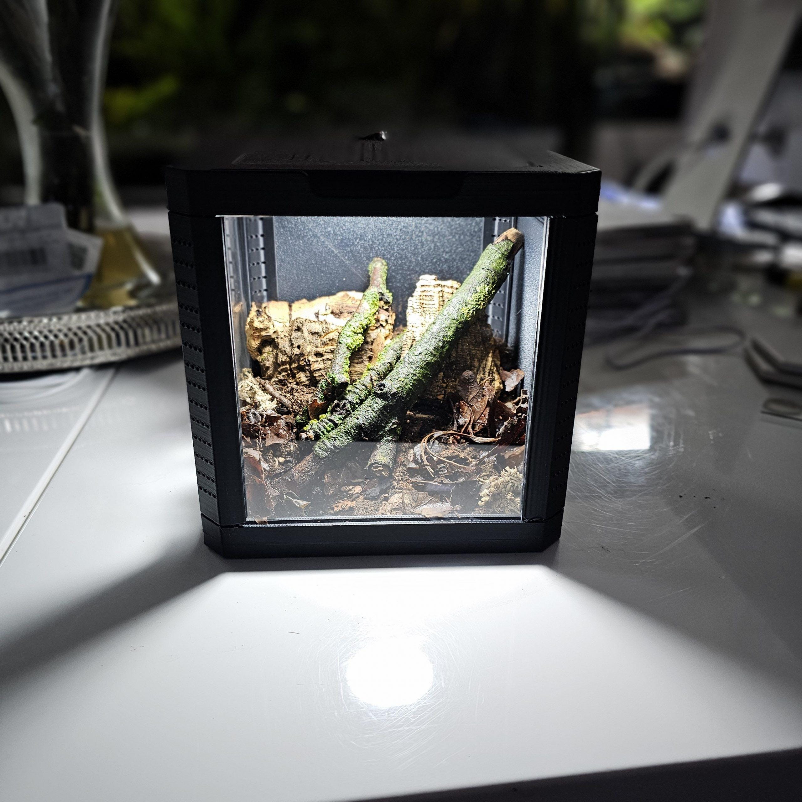 3d-printed Isopod Display Vivarium – Flat-pack With Ventilation and ...