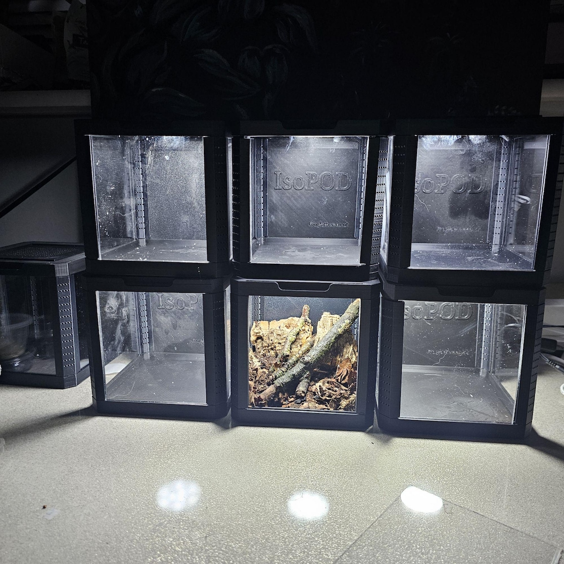 3d-printed Isopod Display Vivarium – Flat-pack With Ventilation and ...