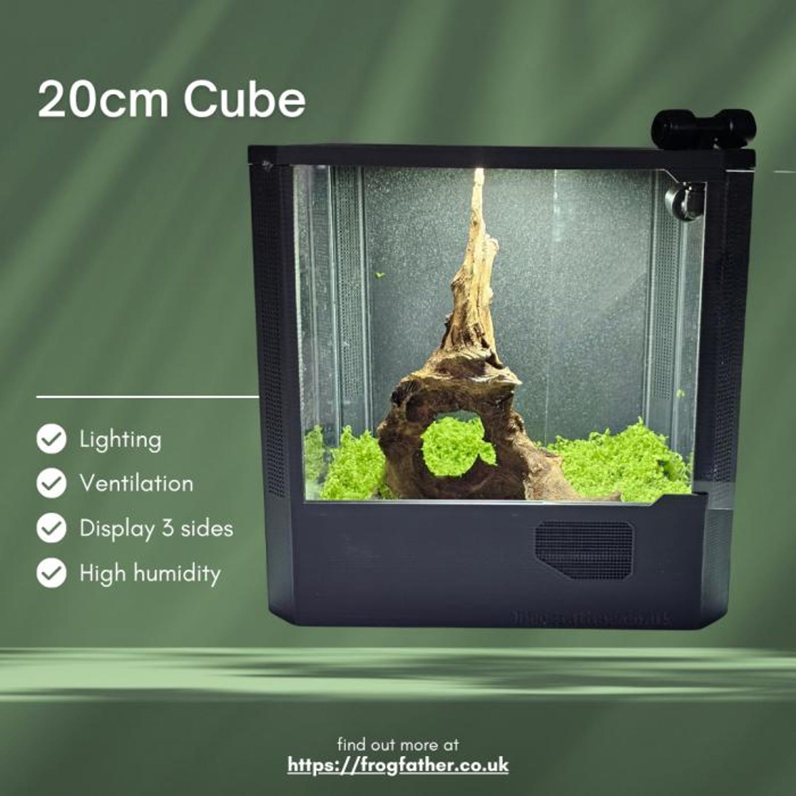 Display Vivarium Cube Enclosure - Etsy
