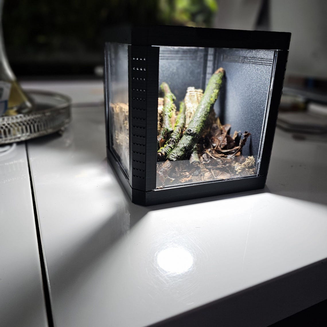 3d-printed Isopod Display Vivarium – Flat-pack With Ventilation and ...