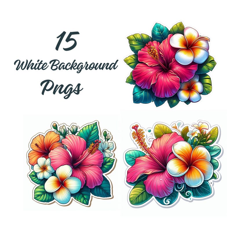 15 Tropical Hibiscus Clipart PNG, Bright Floral Digital Download ...