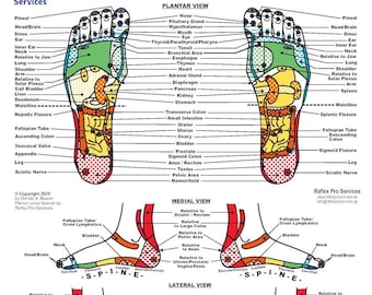 Foot Reflexology Chart PDF Printable - Etsy
