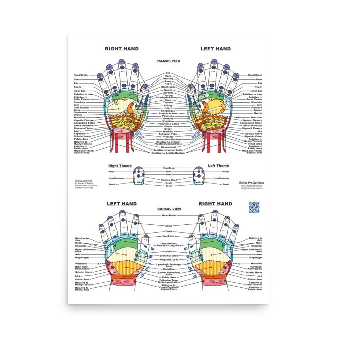 Reflexology Hand Chart Poster | Enhanced Matte Paper | 5 Sizes - Etsy