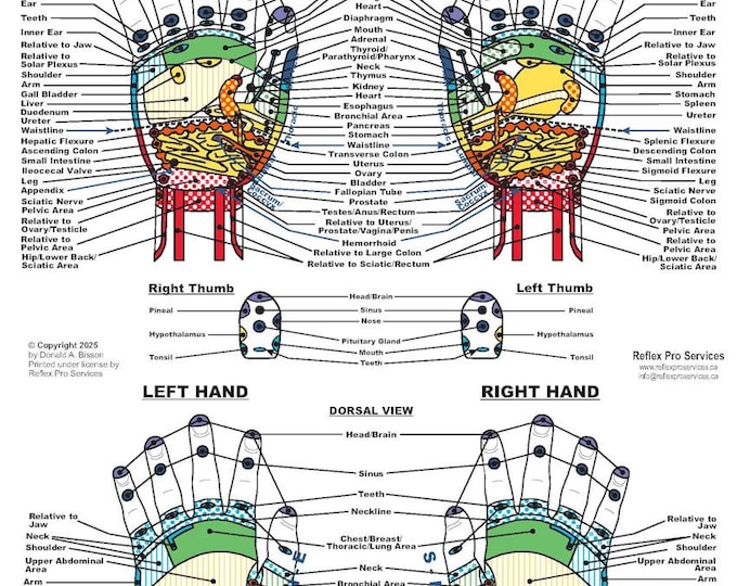 HAND REFLEXOLOGY CHART - Etsy Canada