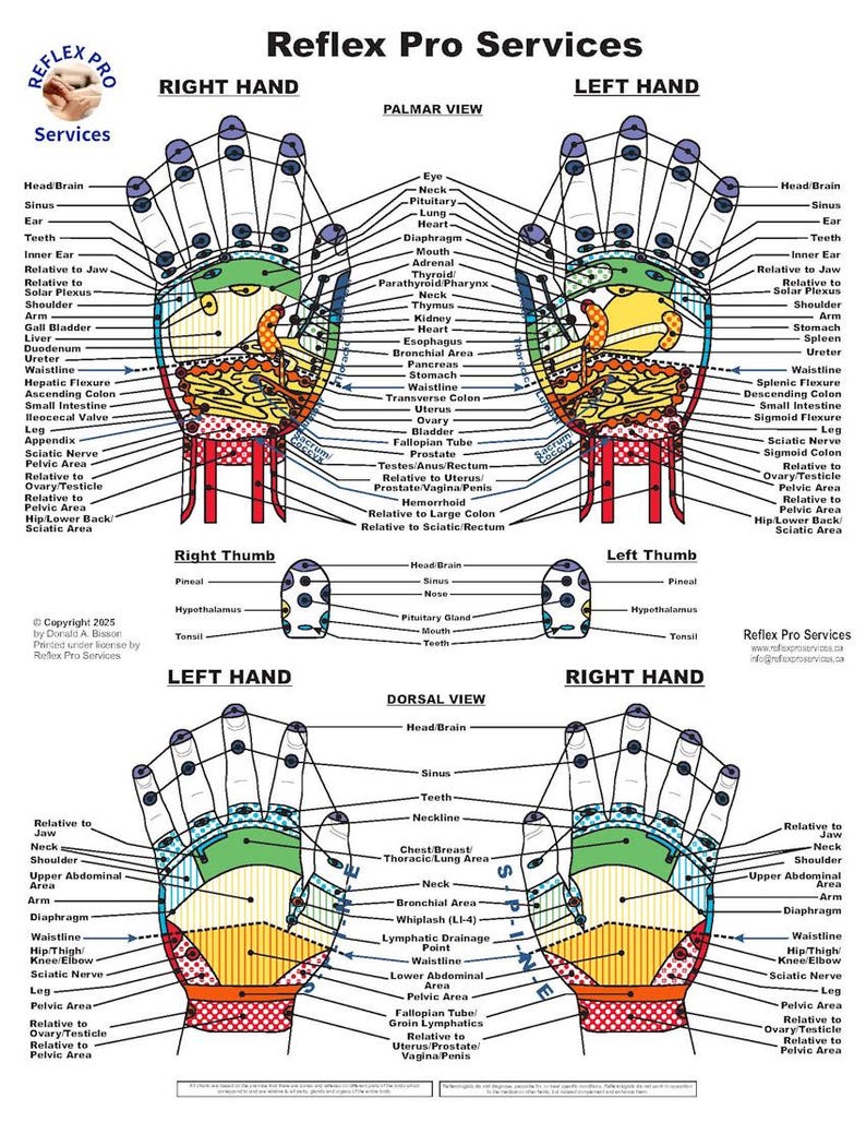 Reflexology Hand Chart PDF – Instant Download – Clinical + Decorative ...